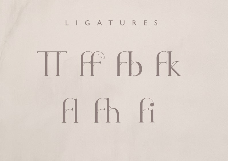 Display Serif Font, Lettering, Branding Fonts, Logo Font, Chic Font ...
