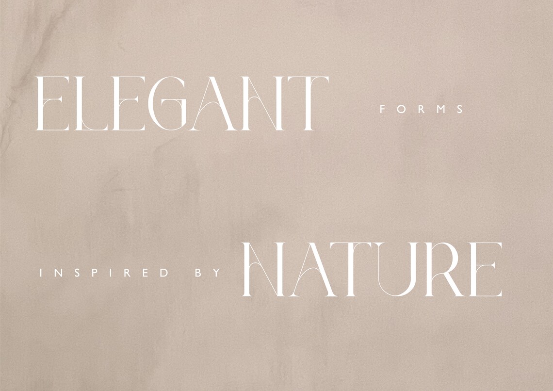 Display Serif Font Lettering Branding Fonts Logo Font Chic - Etsy