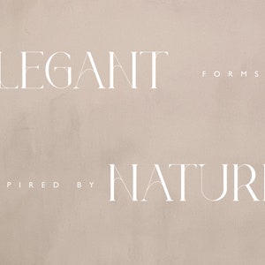 Display Serif Font, Lettering, Branding Fonts, Logo Font, Chic Font ...