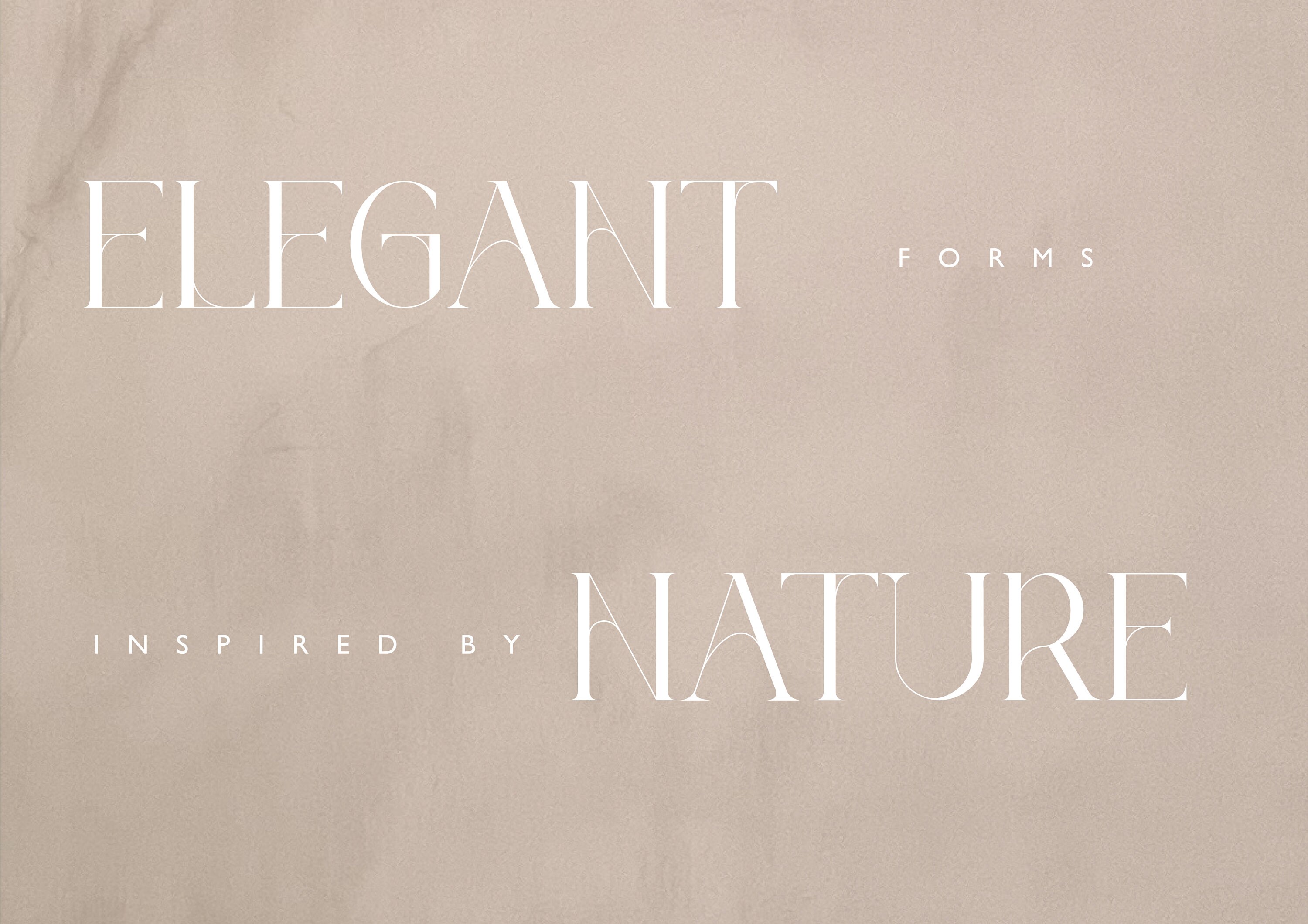 Display Serif Font Lettering Branding Fonts Logo Font Chic - Etsy