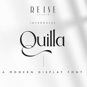 Display Serif Font Lettering Branding Fonts Logo Font Chic - Etsy