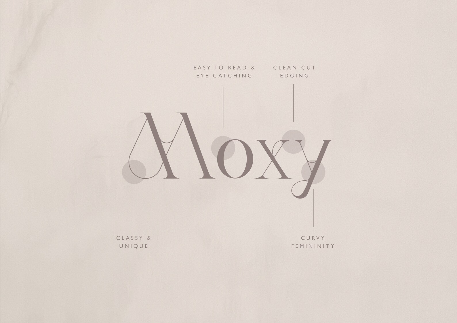 Display Serif Font, Lettering, Branding Fonts, Logo Font, Chic Font ...