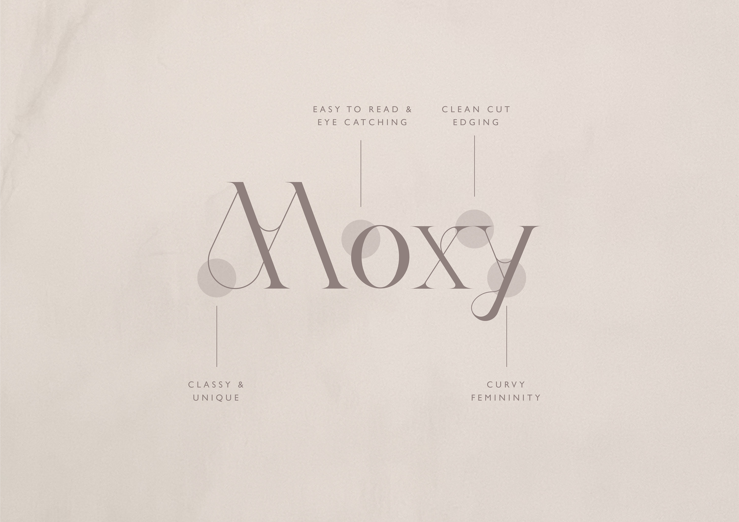 Display Serif Font Lettering Branding Fonts Logo Font Chic - Etsy