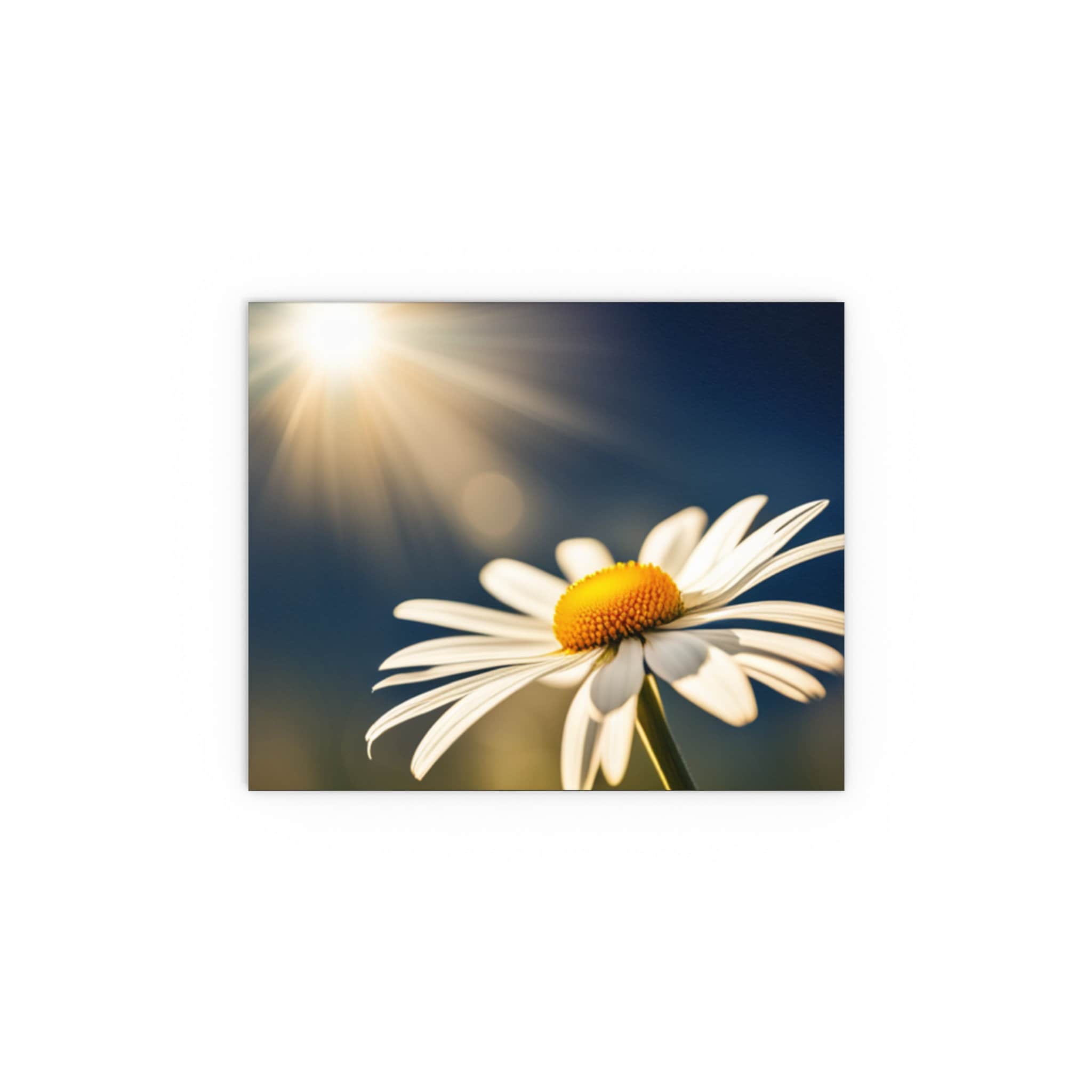 Single Daisy in the Sunshine Poster - Etsy