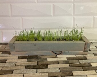 Cat Grass Planter - Etsy