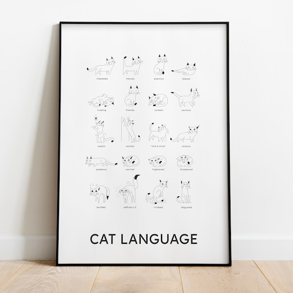 Cat Poster - Etsy