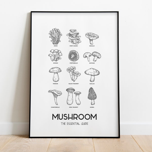 Types of Mushroom Poster - Etsy