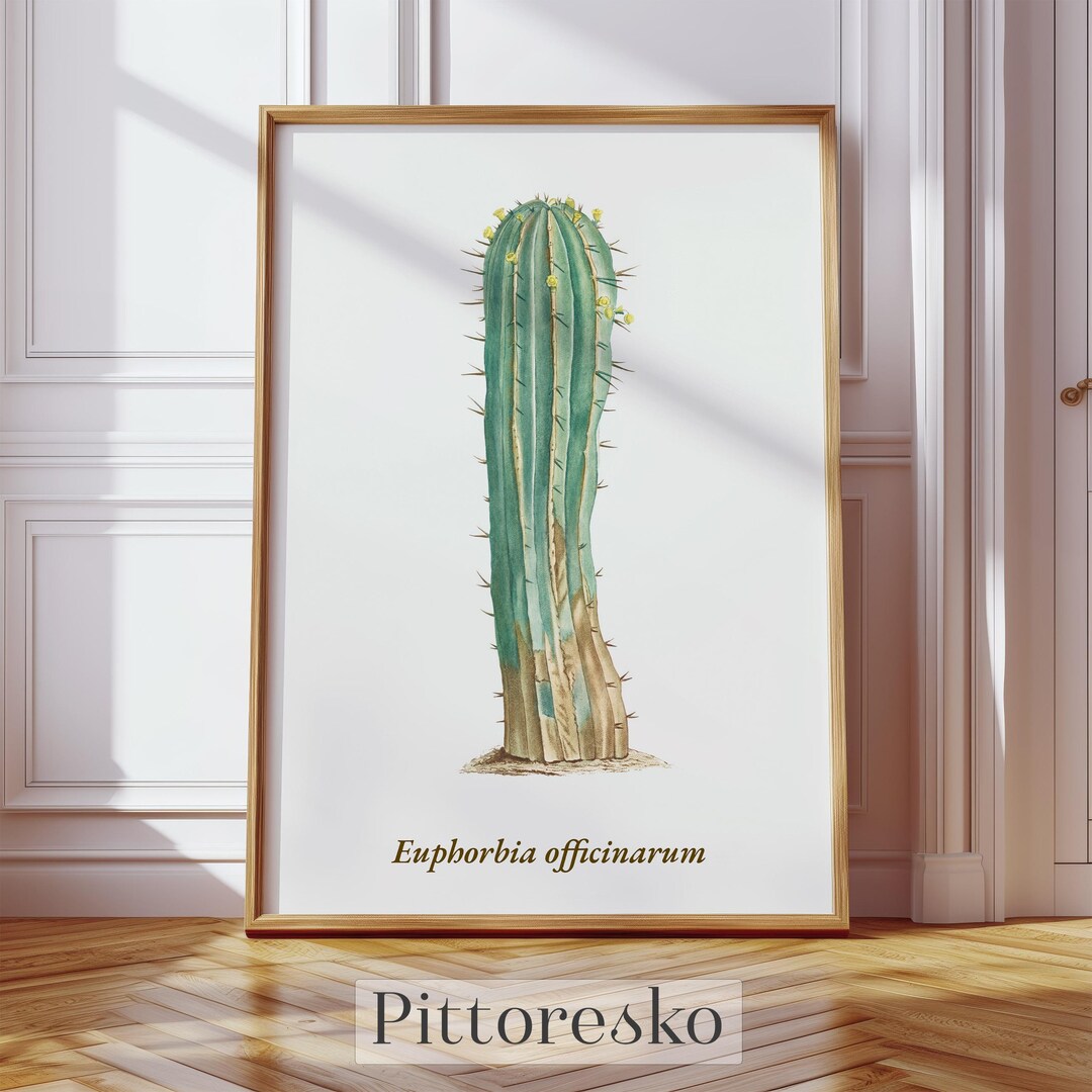 Euphorbia Officinarum Cactus Digital Botanical Wall Art, Succulent ...