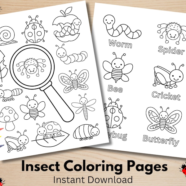 Insect Coloring Sheets Printable - Etsy UK