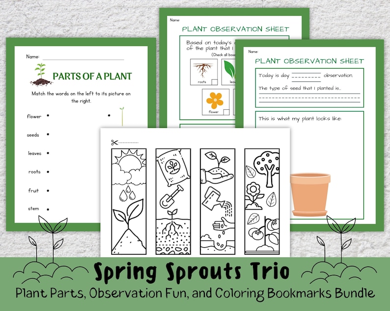 Spring Plant Activity Worksheets: Observation Journal, Coloring ...