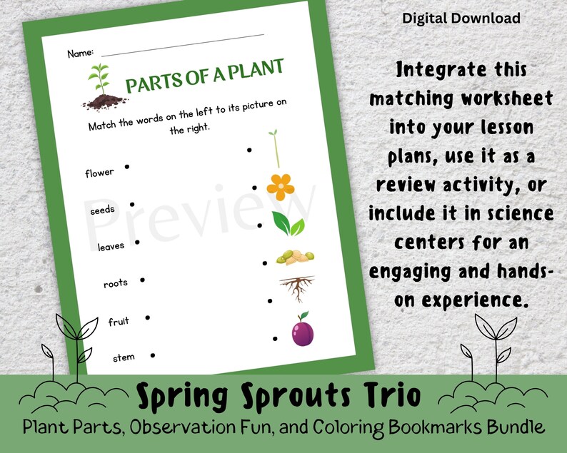 Spring Plant Activity Worksheets: Observation Journal, Coloring ...