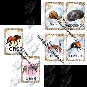 Printable FLASHCARDS 30 ANIMAL CARDS SET2 Instant Download for Learning ...