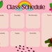 School Class Weekly Schedule Planner,5 Different Files Bundle Digital ...