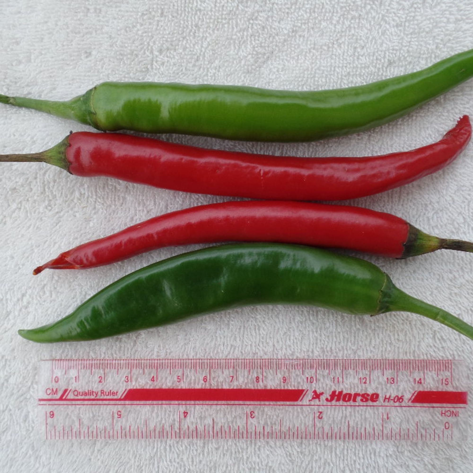 Thai Chili Pepper 'bird's Eye' Seed, Thai Dragon Chili Pepper, Heirloom ...