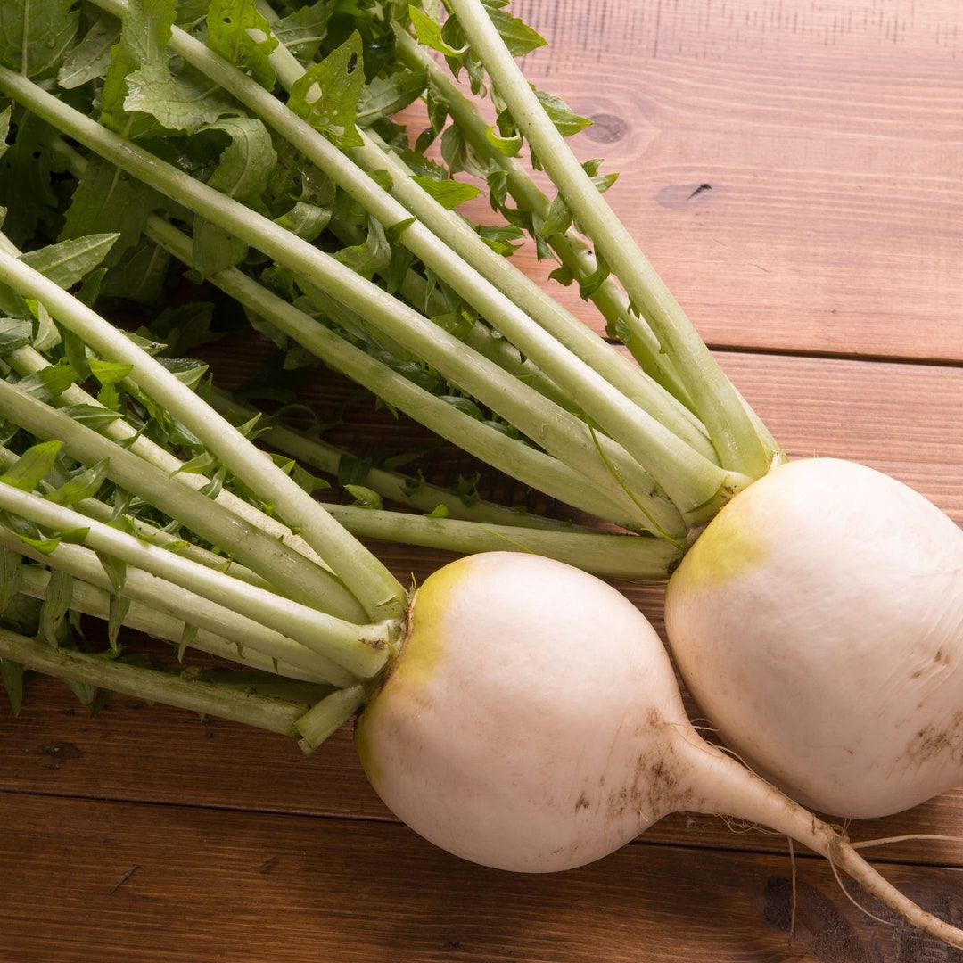 Premium Japanese Wasabi Radish Seeds - Add Bold Flavor to Your Garden ...