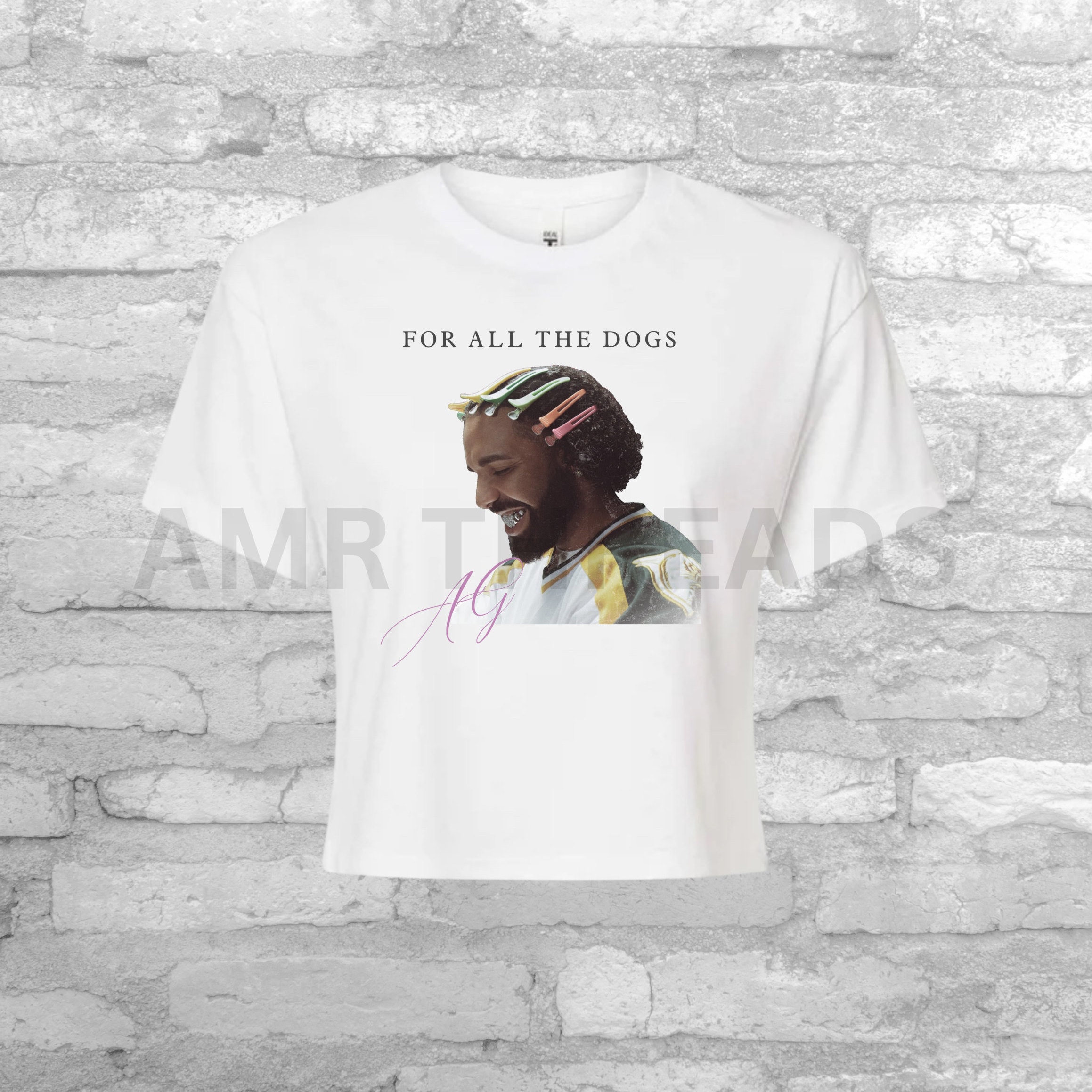 For All the Dogs, DRAKE PNG IMAGE, It’s a Blur Tour - Etsy