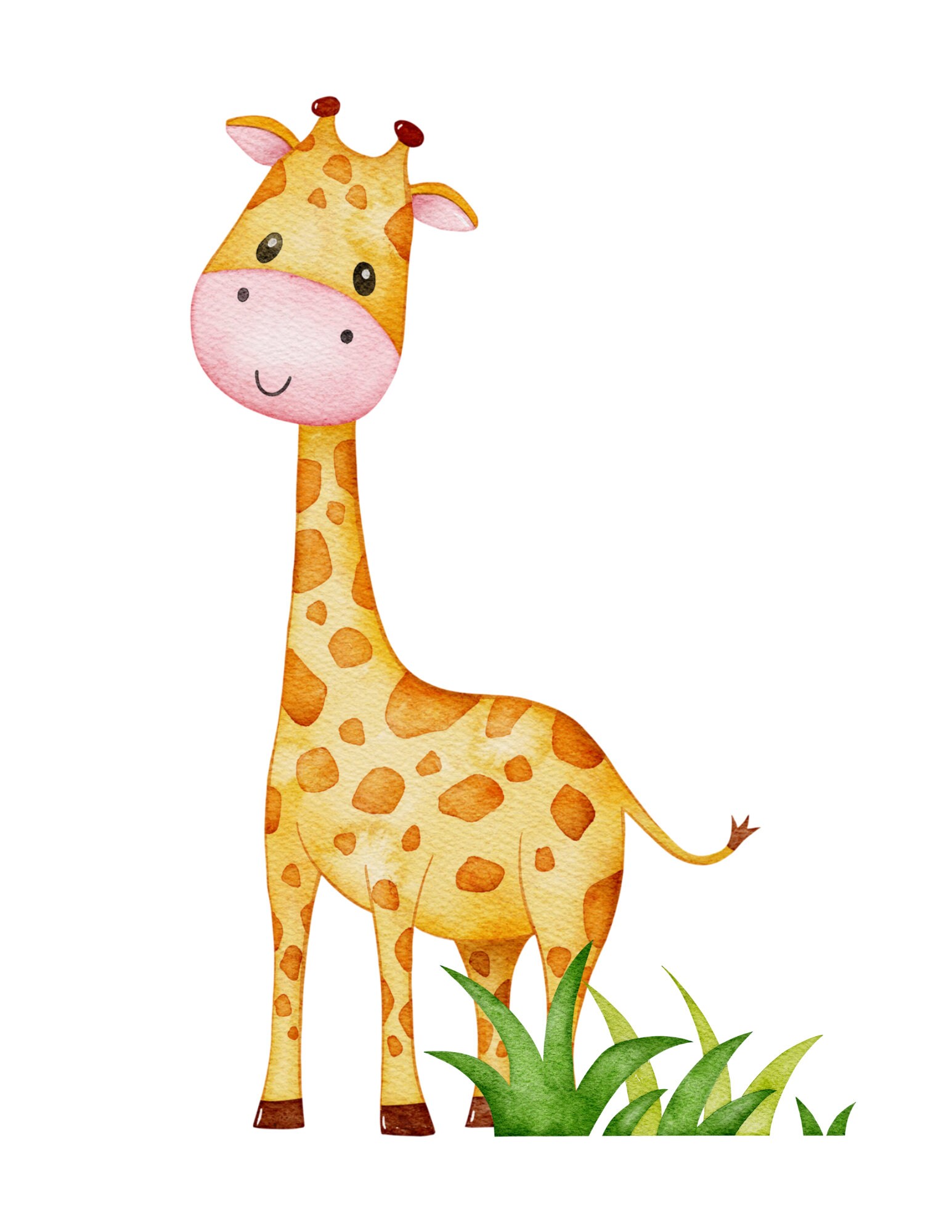 Zoo Friends Digital Prints - Nursery - Playroom - Kids Room - Etsy