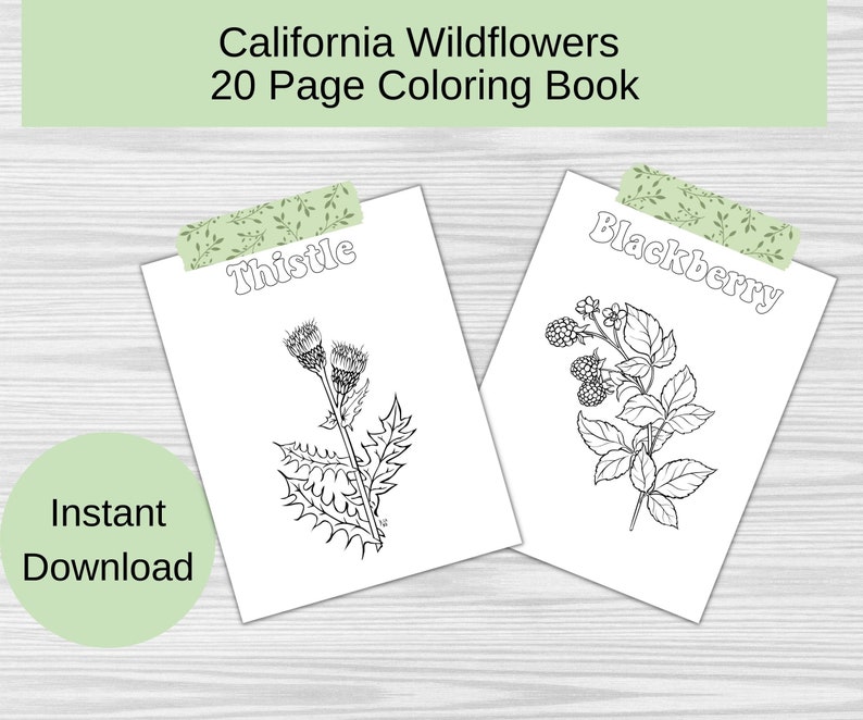 Wildflower Coloring Pages Botanical Coloring Sheets Printable - Etsy