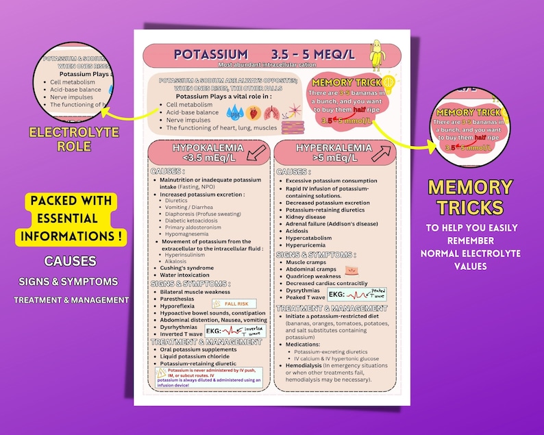 Electrolyte Imbalances Study Guide: Nursing School Notes (PDF Digital ...