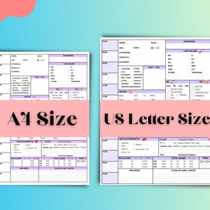 ICU Nurse Report Sheet With Hourly Rounding - Etsy