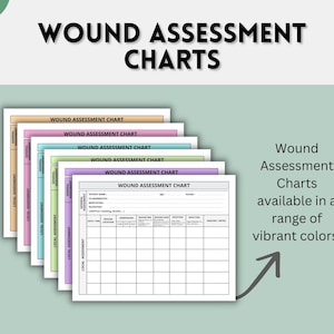 OASIS-E Cheat Sheet Bundle: Home Health Templates, Skilled Nurse Start ...