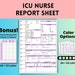 ICU Nurse Report Sheet With Hourly Rounding - Etsy