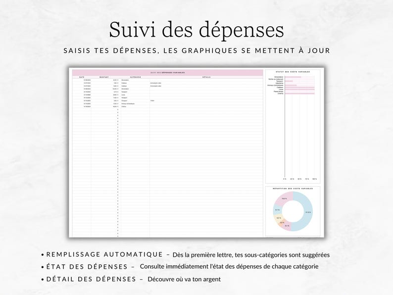 Apple Numbers Annual Budget Template FRENCH for Mac, iPad and Iphone ...