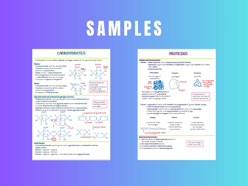 Ultimate Biochemistry Notes Handwritten Summary Sheet Handout IGCSE, O ...