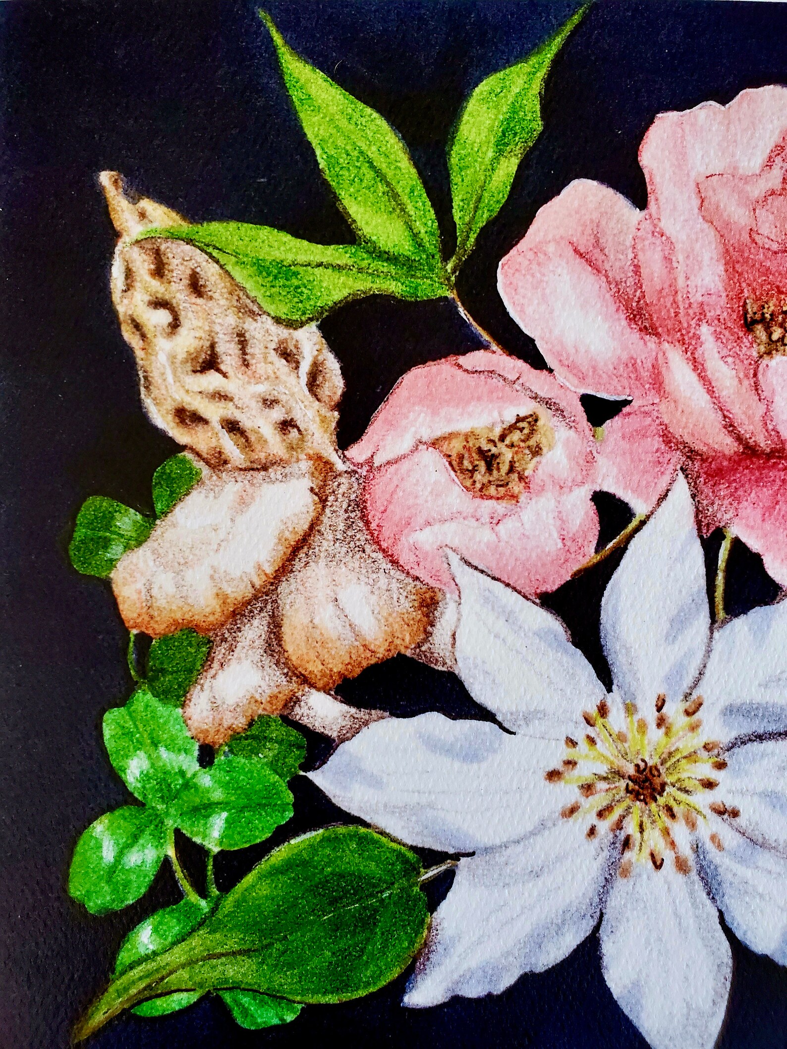 Spring Has Sprung Fine Art Print - Etsy