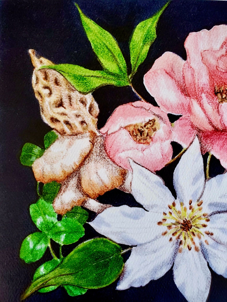Spring Has Sprung Fine Art Print - Etsy