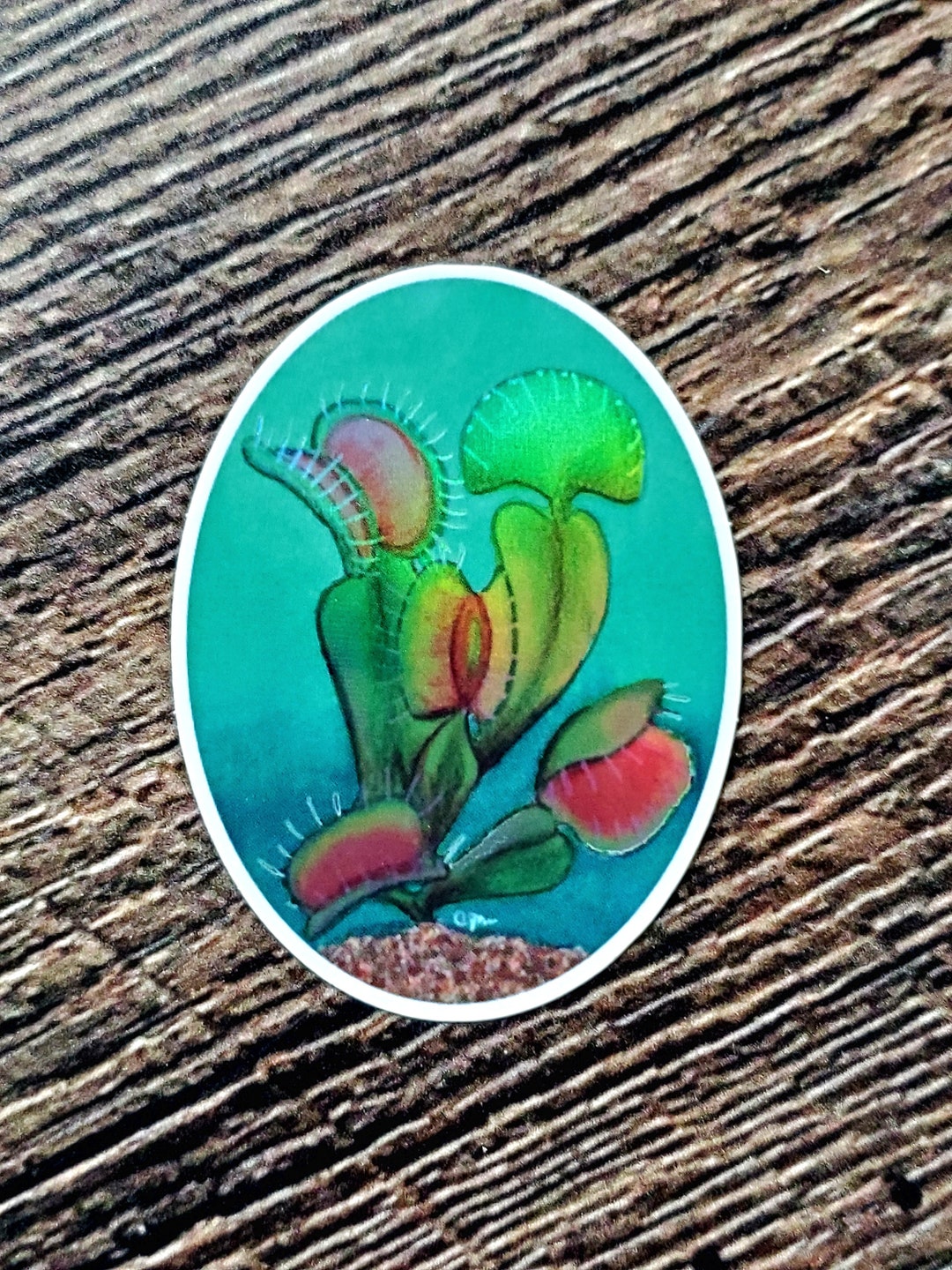 Venus Fly Trap Holographic Vinyl Sticker - Etsy