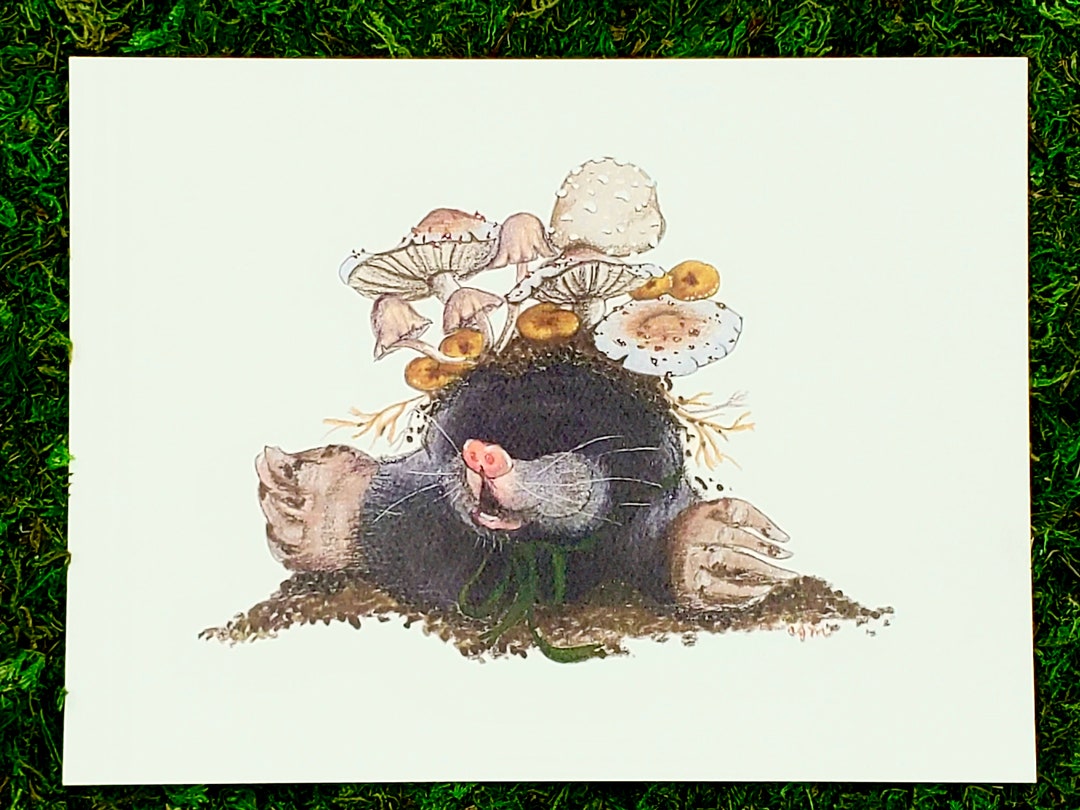 Mush Mole Fine Art Print - Etsy