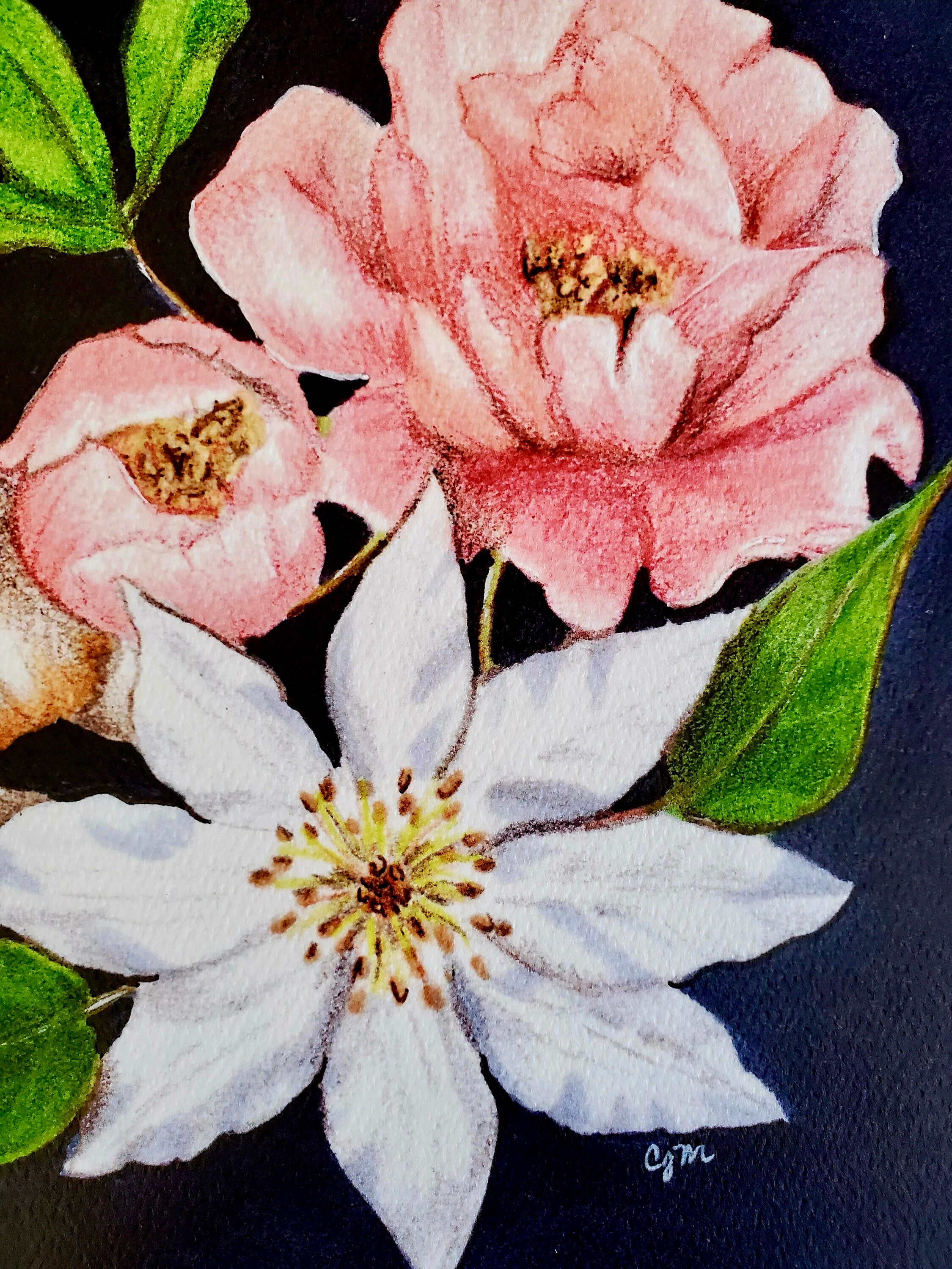 Spring Has Sprung Fine Art Print - Etsy