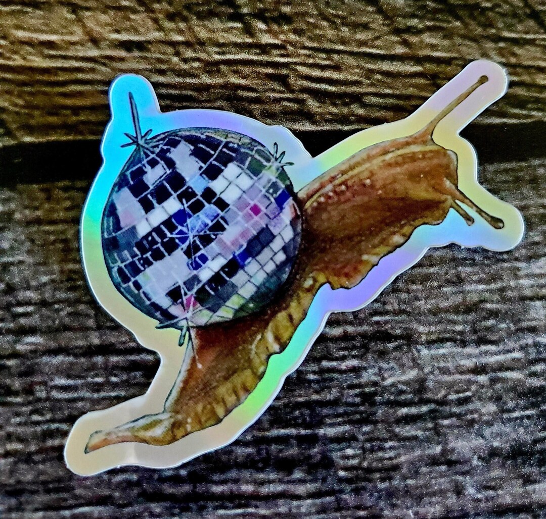 Disco Snail Vinyl Sticker - Etsy