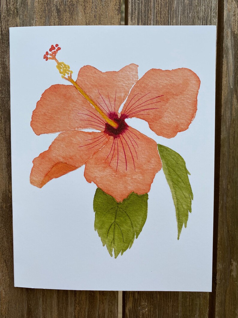 Apricot Hibiscus Watercolor Print Note Card - Etsy