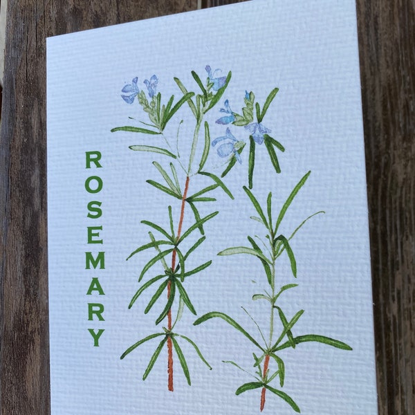 Rosemary - Etsy