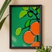 Orange Tree Poster Wall Art Decor Illustrated Gardener Print 24x36 ...