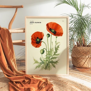 Vintage Poppy Flower Poster Large Mailed Prints 1920s Retro Botanical ...