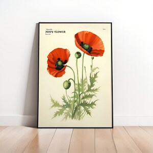 Vintage Poppy Flower Poster Large Mailed Prints 1920s Retro Botanical ...