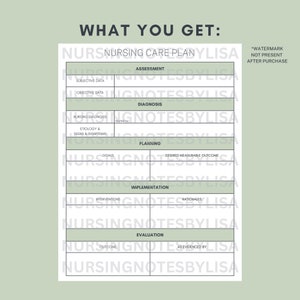 Nursing School Care Plan Template - Great for Nursing Students ...