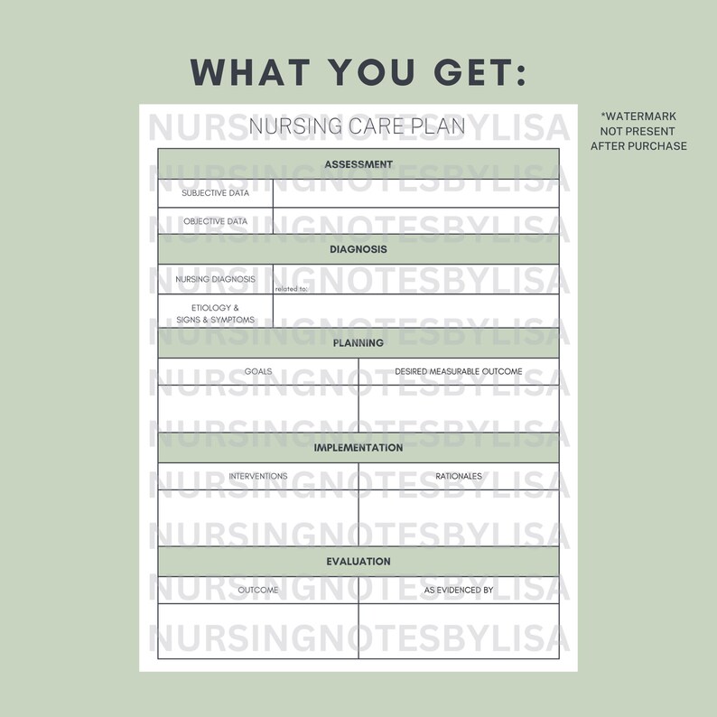 Nursing School Care Plan Template - Great for Nursing Students ...