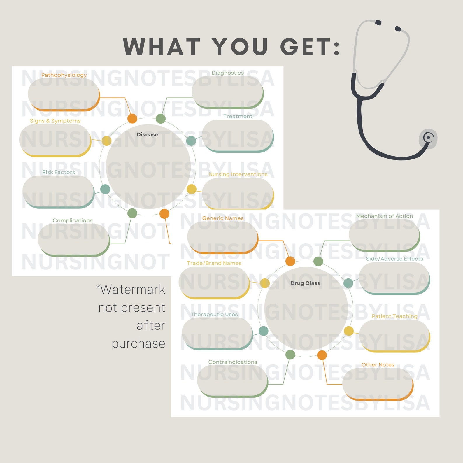 Pharmacology and Pathophysiology Concept Map for Nursing Students ...
