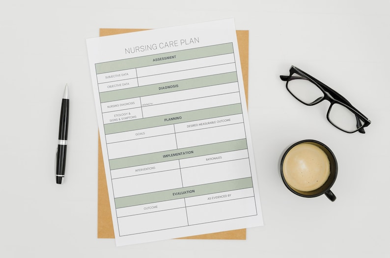 Nursing School Care Plan Template - Great for Nursing Students ...