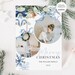Winter Forest Greeting Card - Greeting Card - Blank Inside - Holidays ...
