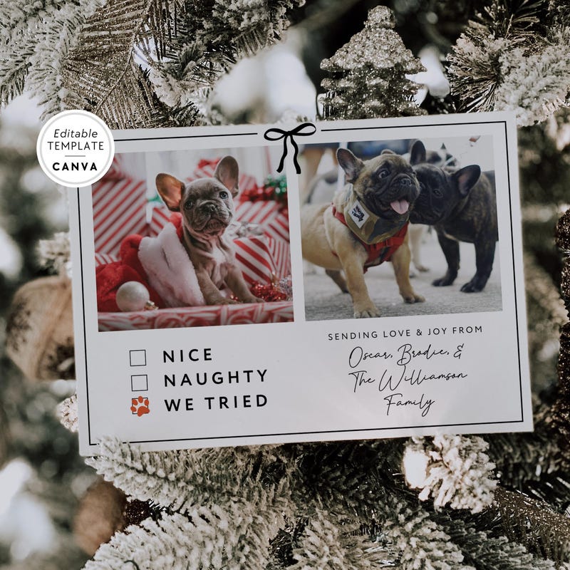 Funny Dog Christmas Cards - Etsy