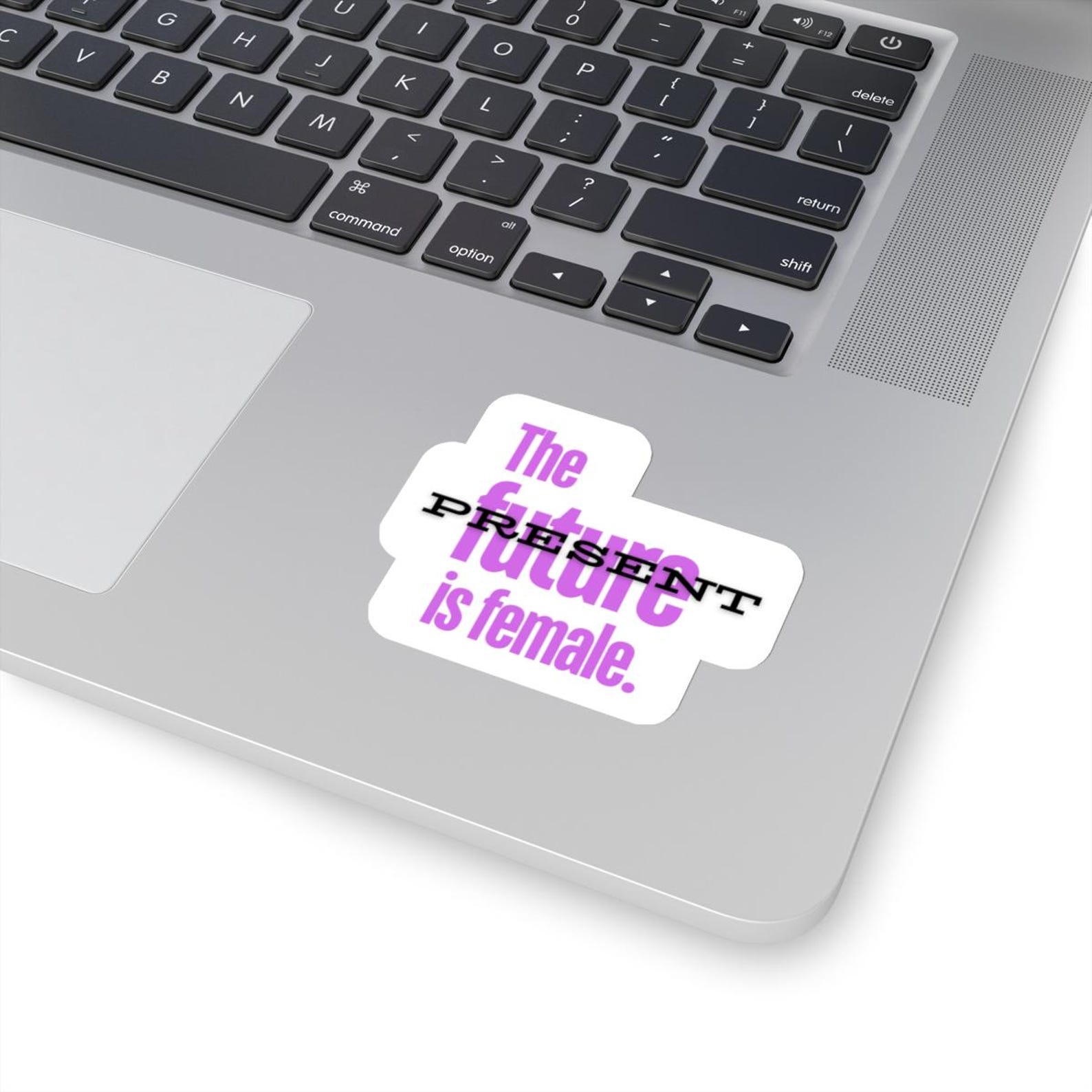 The Future is Female Sticker the Present is Female Sticker Laptop ...