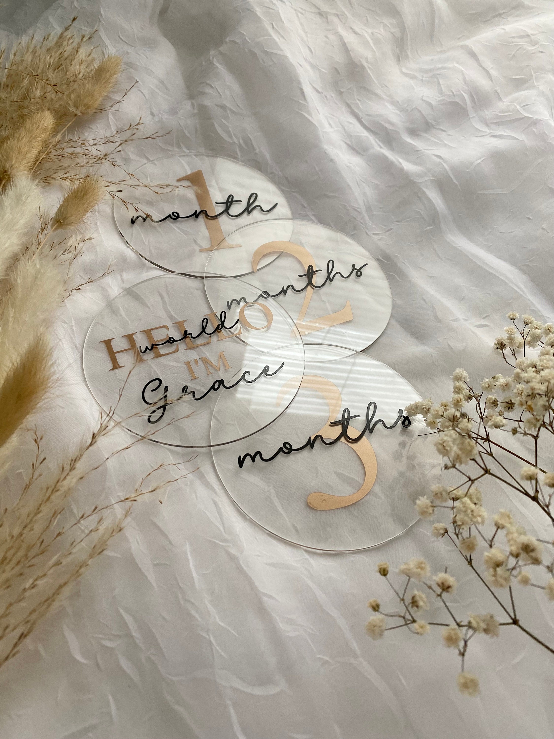 Custom Acrylic Baby Monthly Milestone for Photo Prop Baby Milestone ...