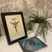 FRAMED ALBUM Cover|room Decoration|nirvana Room Decoration|posters|rock ...