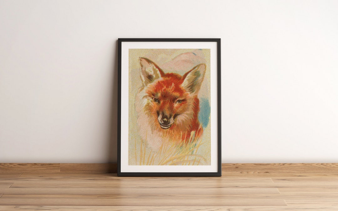 Vintage Fox Drawing | Cute Fox Portrait | Printable - Etsy