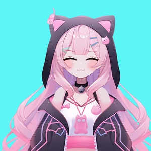 Cat Girl Vtuber Avatar 2d Live 2d With 5 Expressions iPhone Traking for ...
